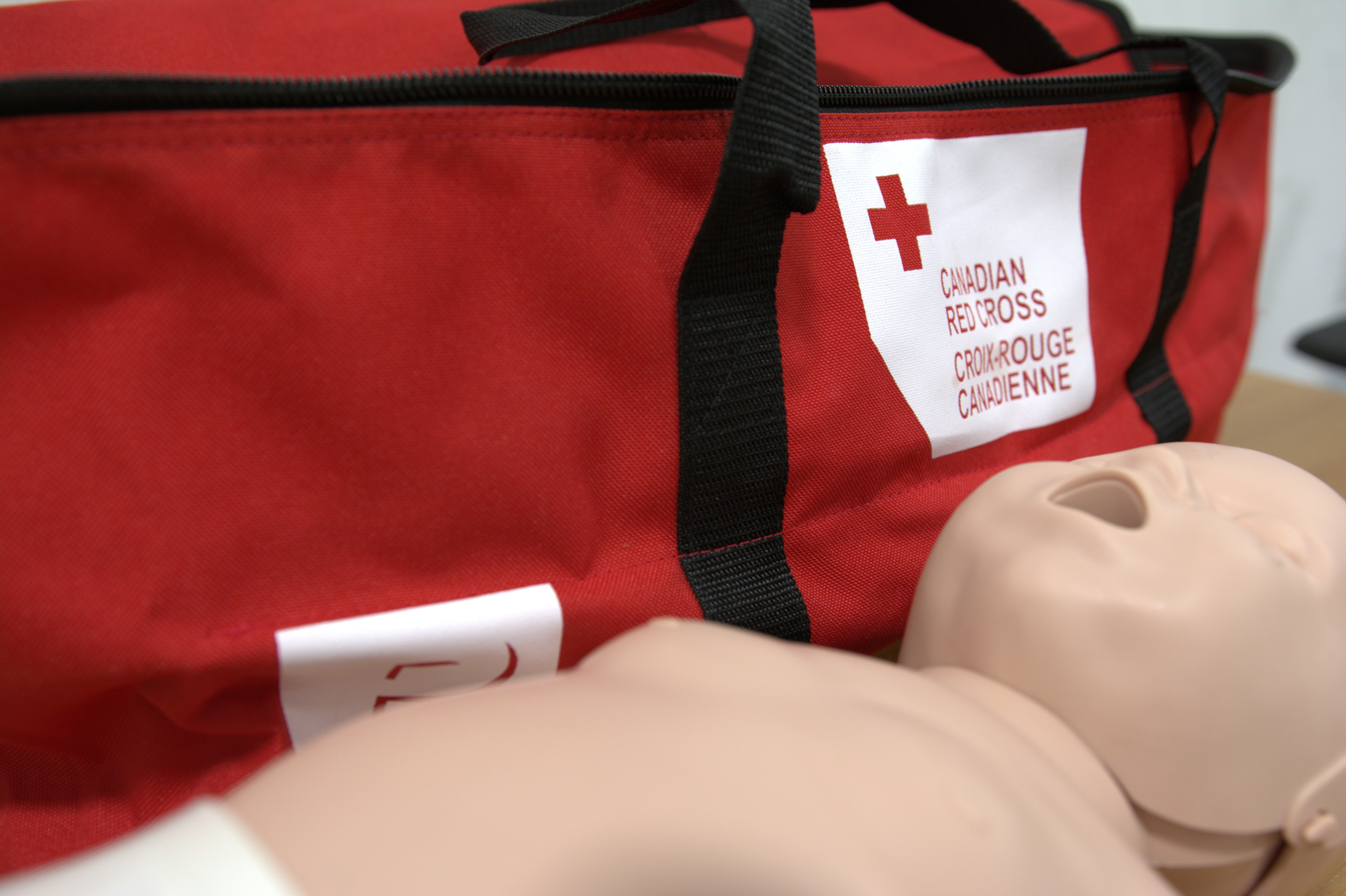 Canadian Red Cross Standard First Aid + CPR C/AED – Rope Access ...